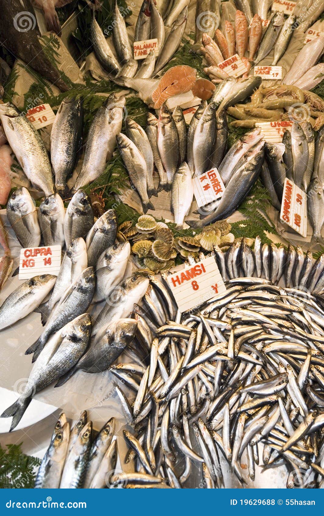 Fish market stock photo. Image of salmon, turkey, istanbul - 19629688