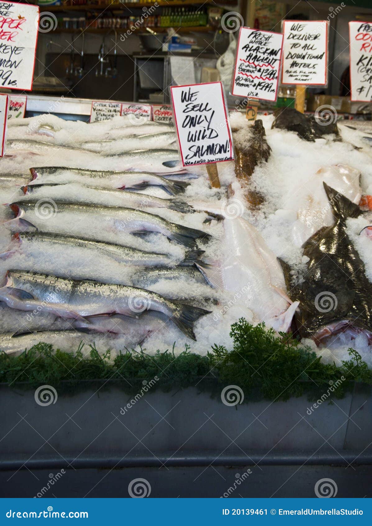 Fish at market stock image. Image of fresh, assorted - 20139461