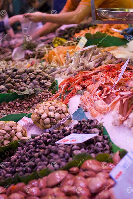 Fish market stock image. Image of prices, eating, lobster - 2144429