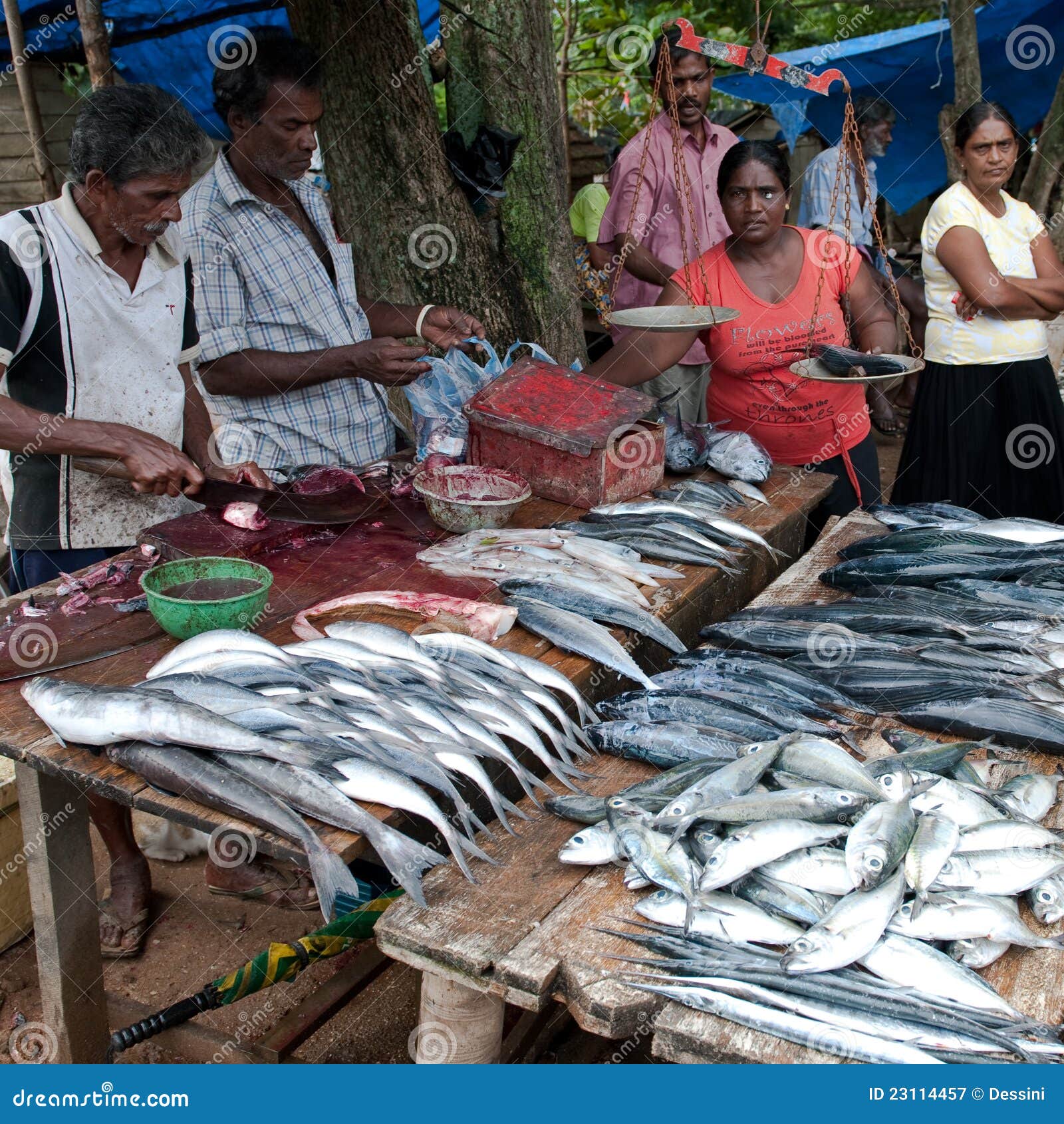 Fish market editorial photography. Image of oriental - 23114457
