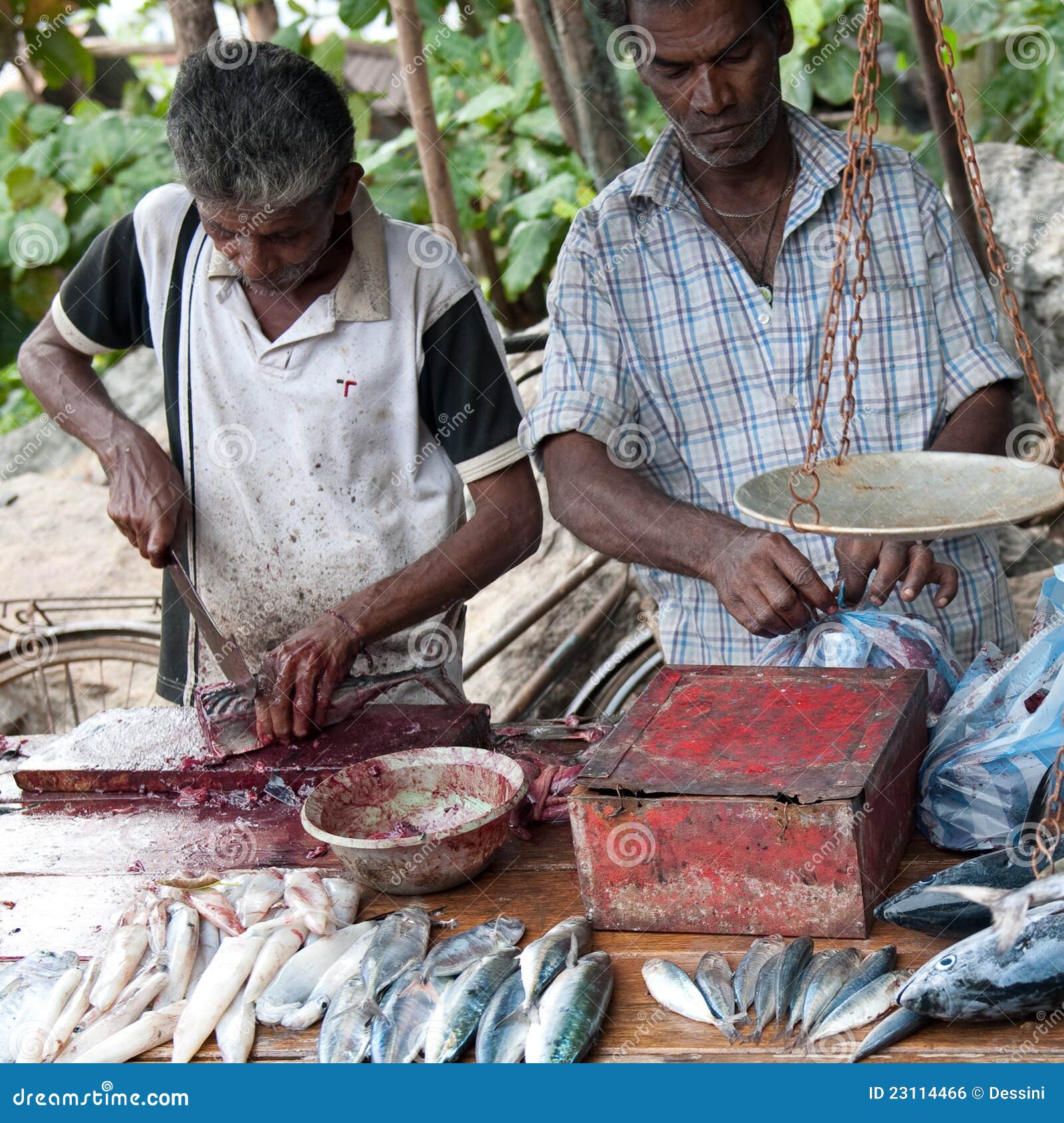 Fish market editorial photo. Image of food, bargain, sellers - 23114466