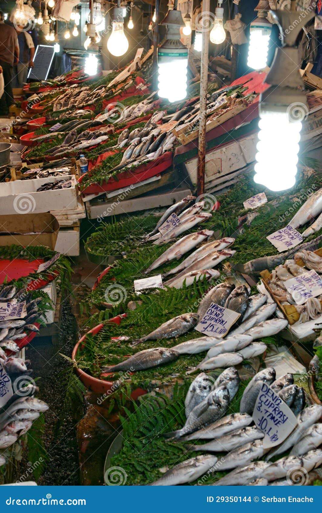 Fish market stock photo. Image of open, food, variety - 29350144