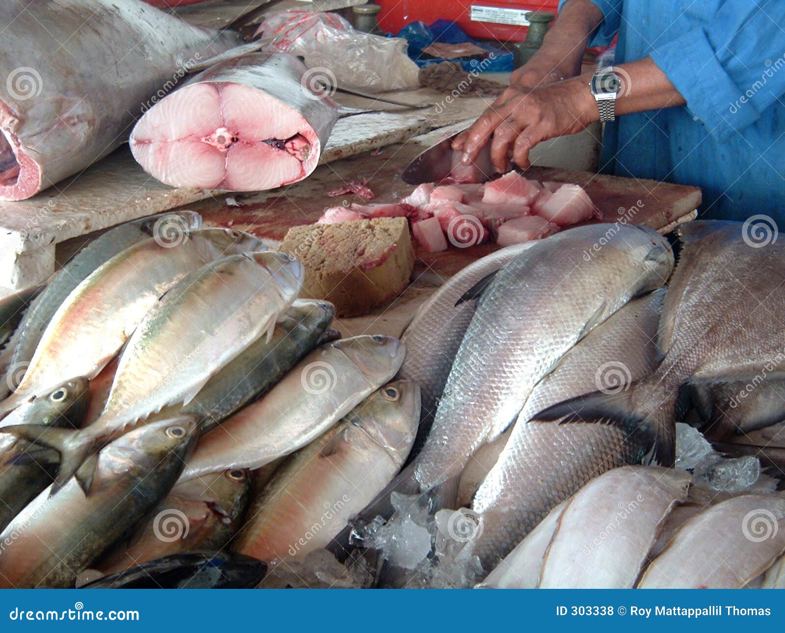Fish market stock photo. Image of meat, slice, slicing - 303338