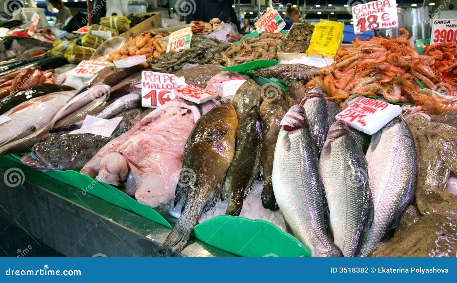Fish market stock photo. Image of fresh, preserve, grouper - 3518382