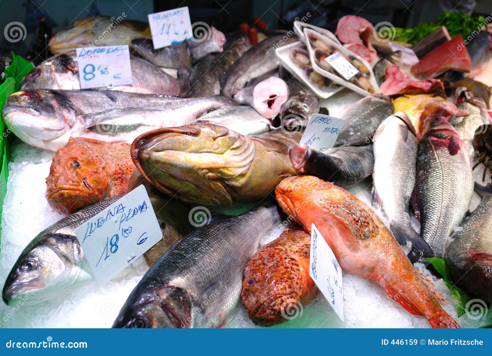 Fish Market stock image. Image of background, lobster, sashimi - 446159