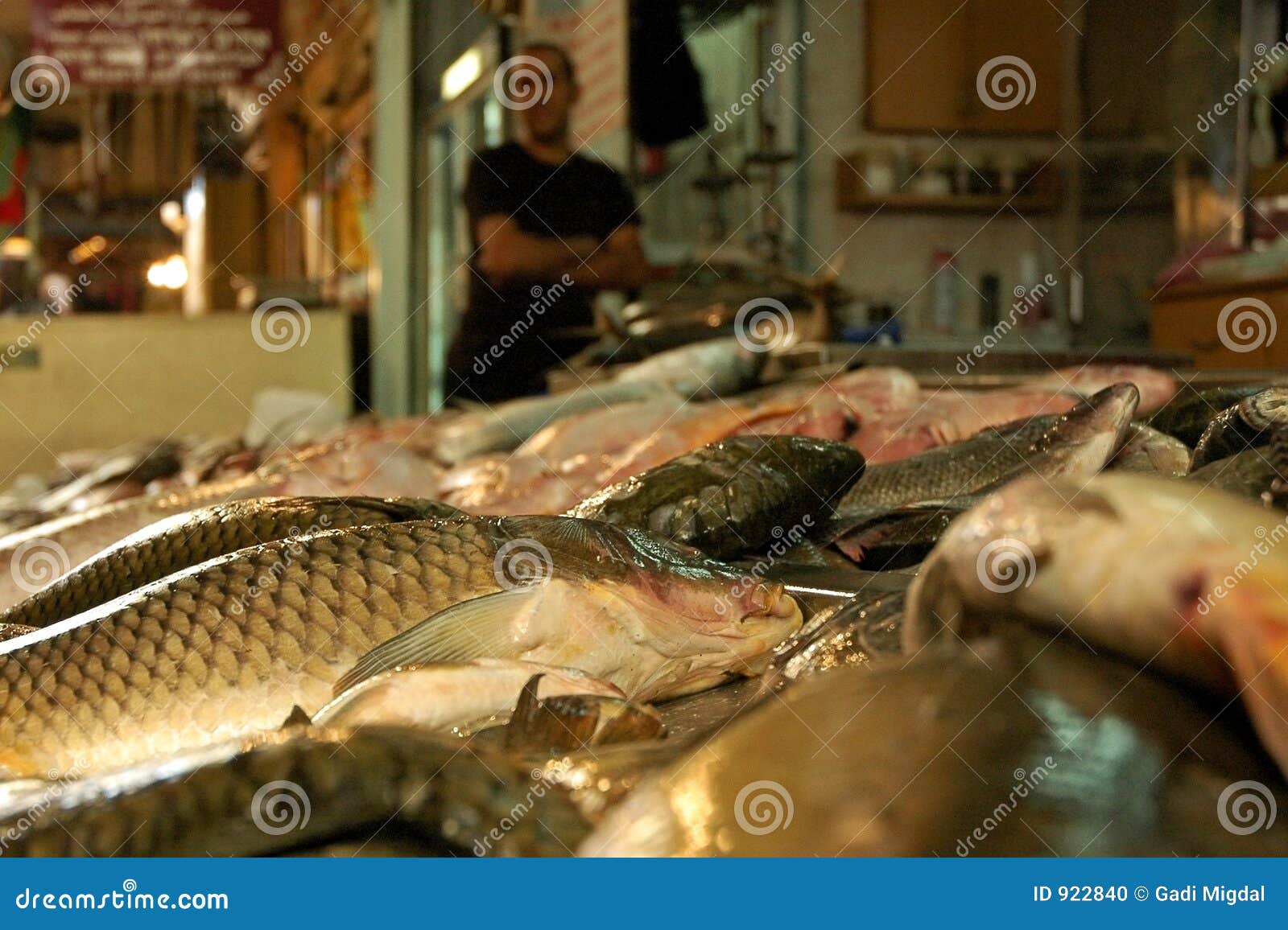Fish at the market stock photo. Image of stall, fish, plethora - 922840