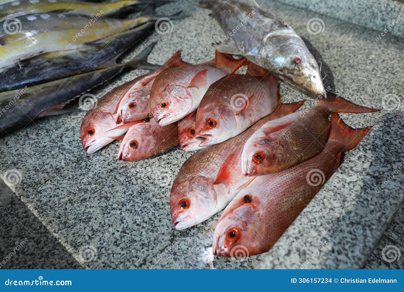 Fish Market - Barka, Muscat, Oman Stock Photo - Image of gourmet ...