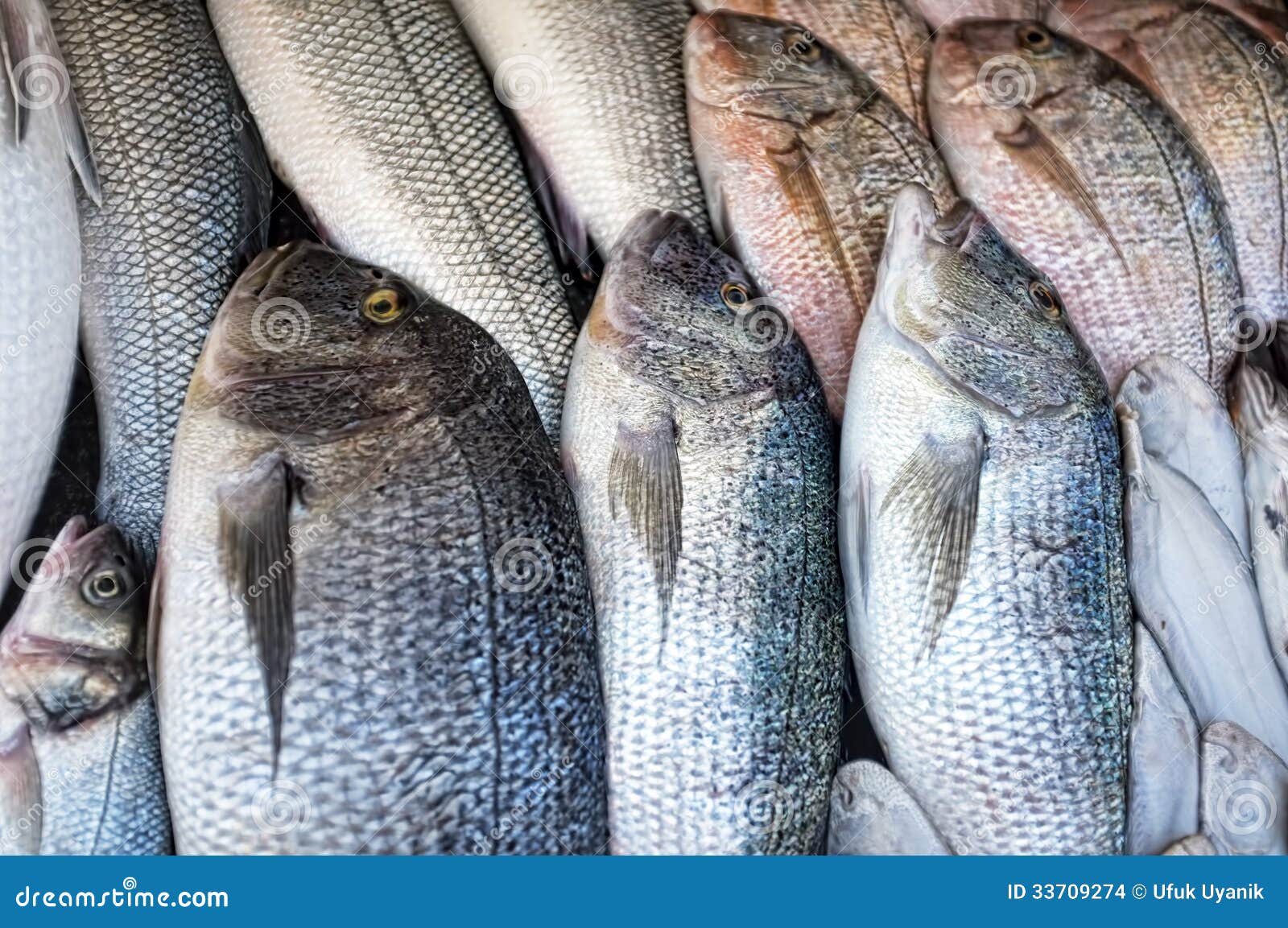 Fish on the market stock photo. Image of seafood, stall - 33709274