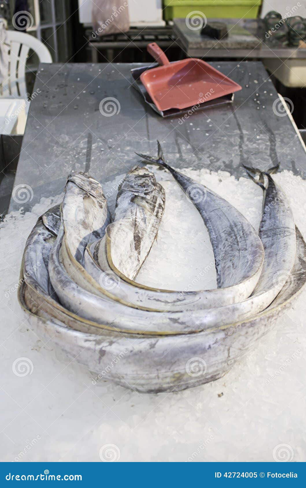 Fish market counter stock image. Image of nutritious - 42724005