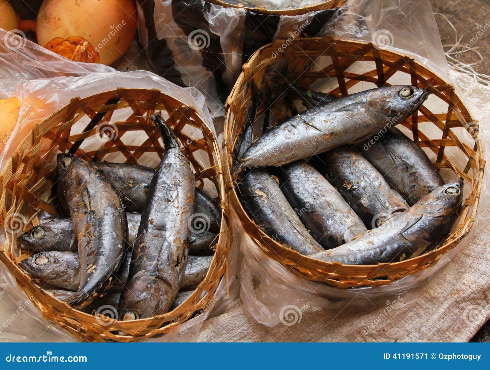 Fish at Market stock image. Image of cold, garbage, danger - 41191571