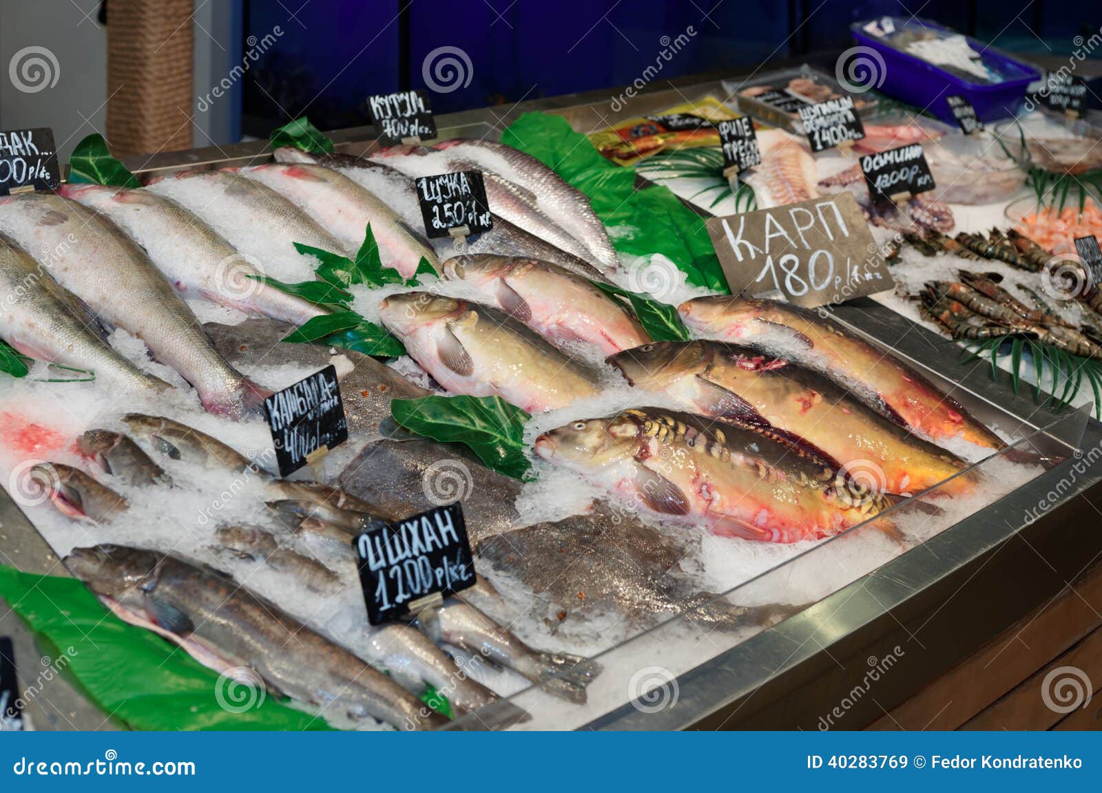 Fish on market display stock image. Image of healthy - 40283769
