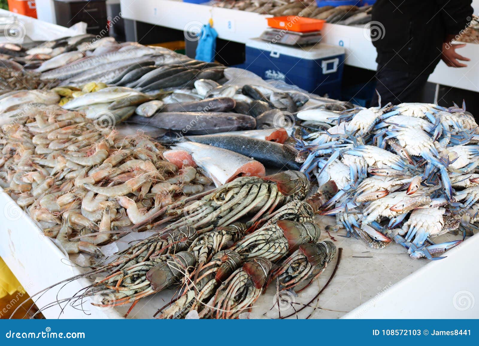In the Fish Market in Dubai. Stock Image - Image of bazaar, shop: 108572103
