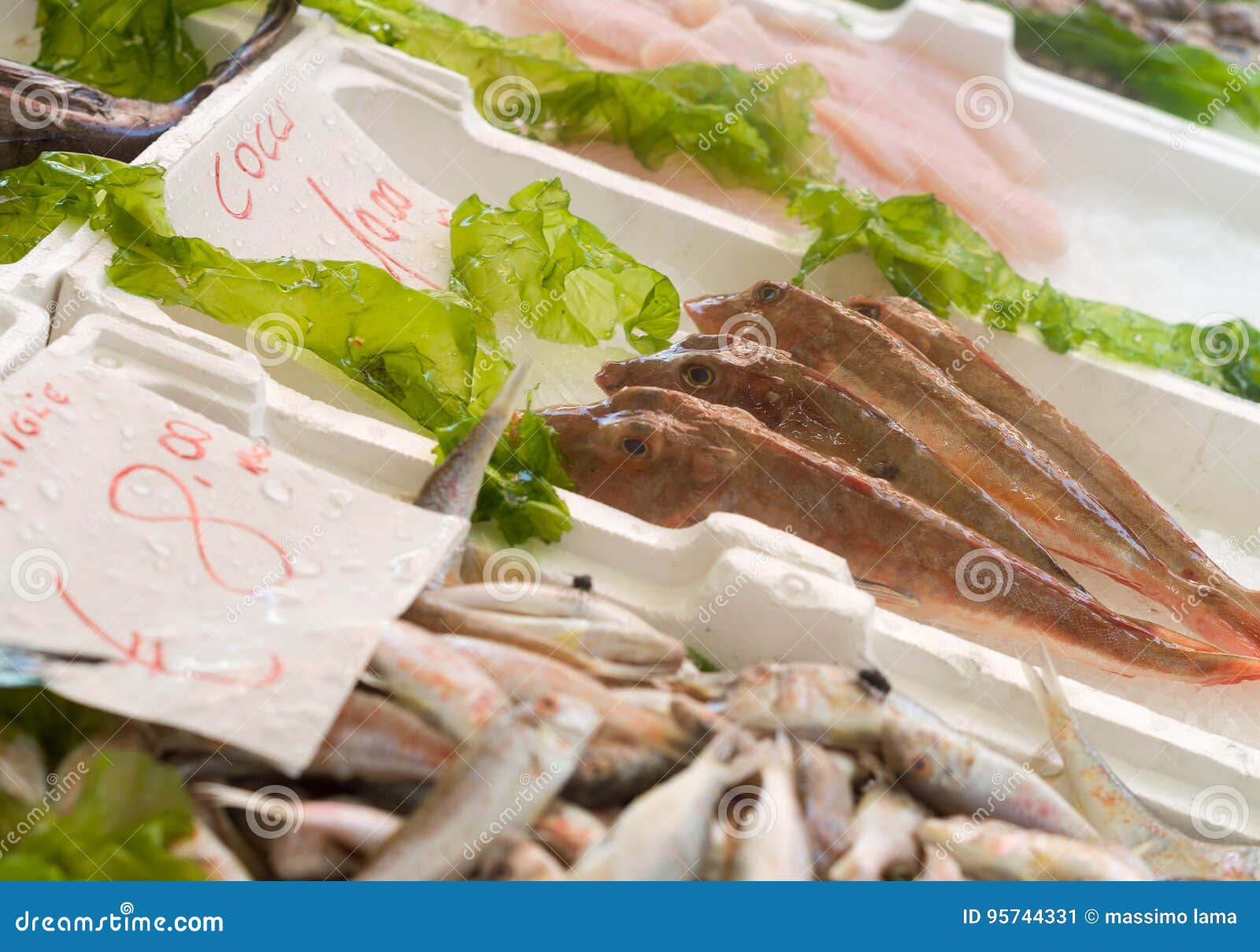 Fish at market stock image. Image of azzurro, ingredient - 95744331