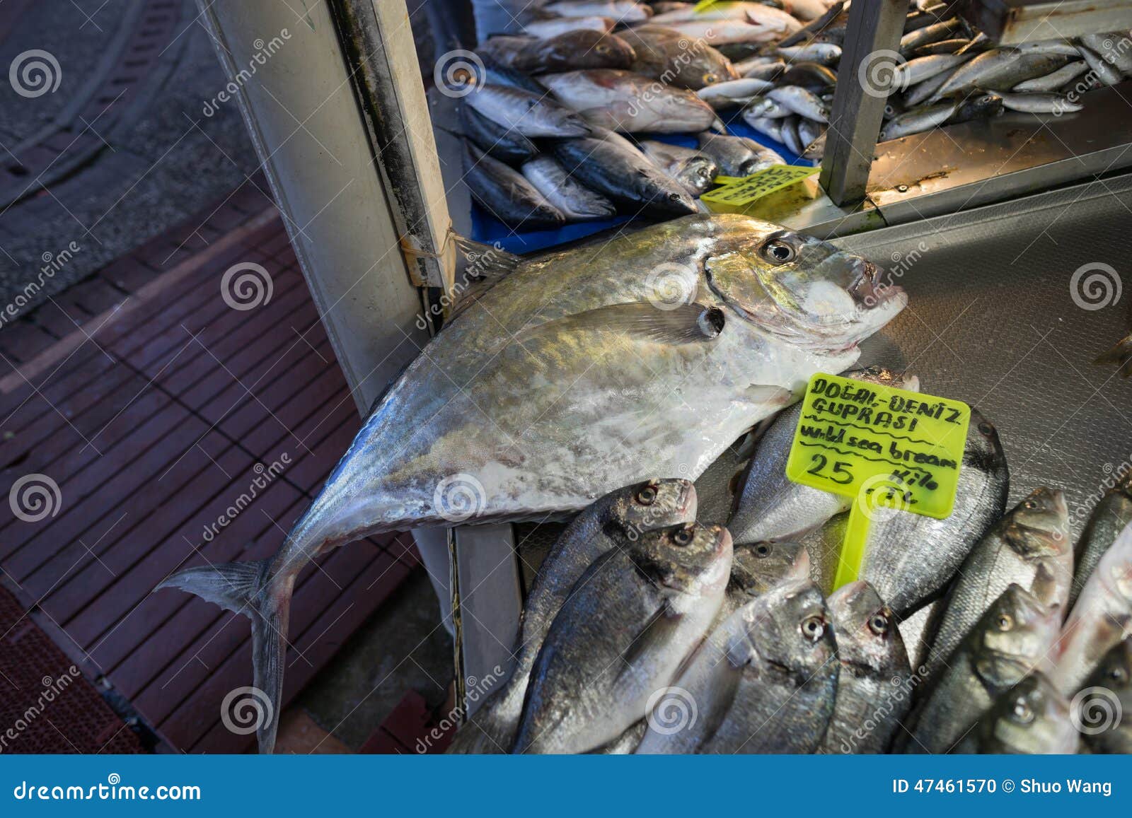 Fish stock photo. Image of iced, hairtail, marine, fishmonger - 47461570