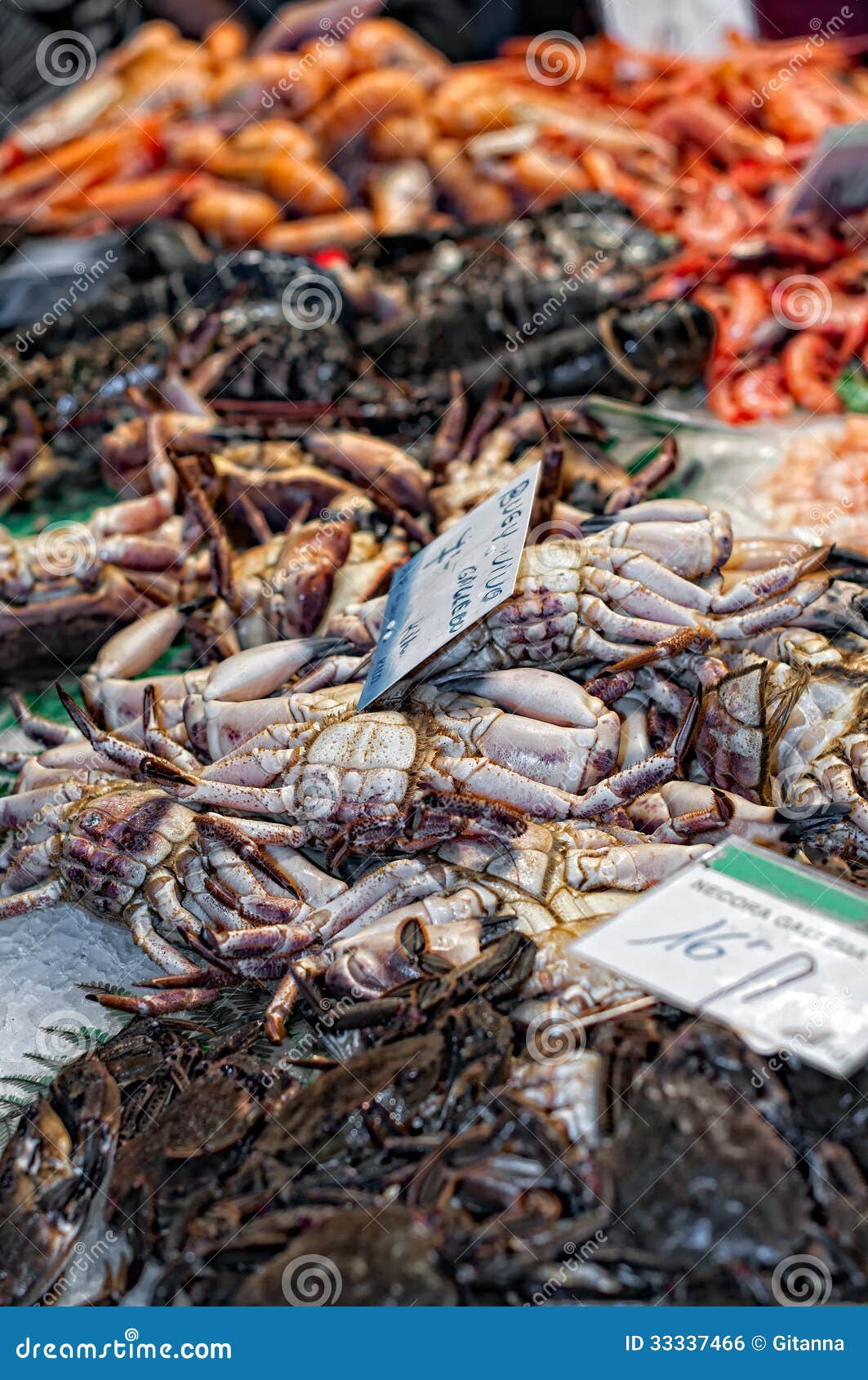 Fish market stock photo. Image of fishing, cold, freshness - 33337466