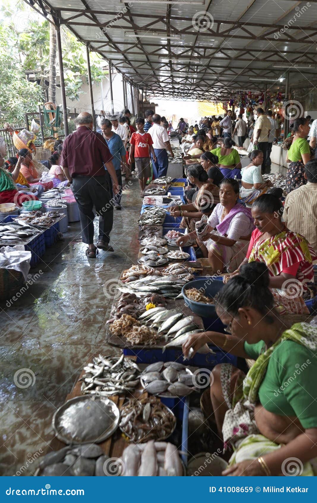 Fish market, Goa, India. editorial stock image. Image of fishery - 41008659