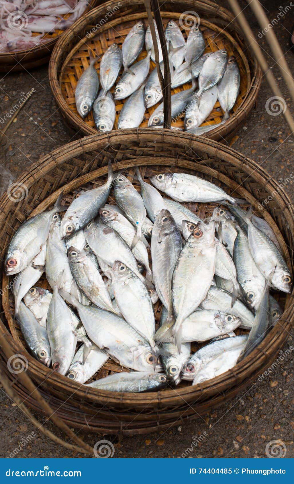 Fish at the Market in Hoi an, Vietnam Stock Image - Image of carambola ...