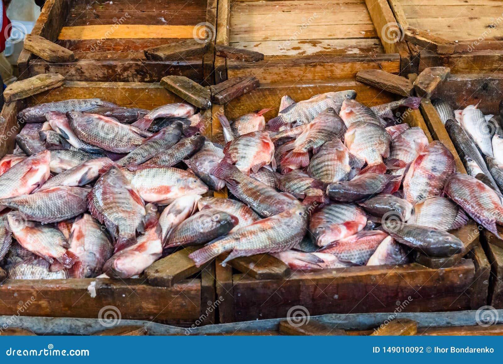 Fish on Fish Market in a Hurghada City, Egypt Stock Photo - Image of ...
