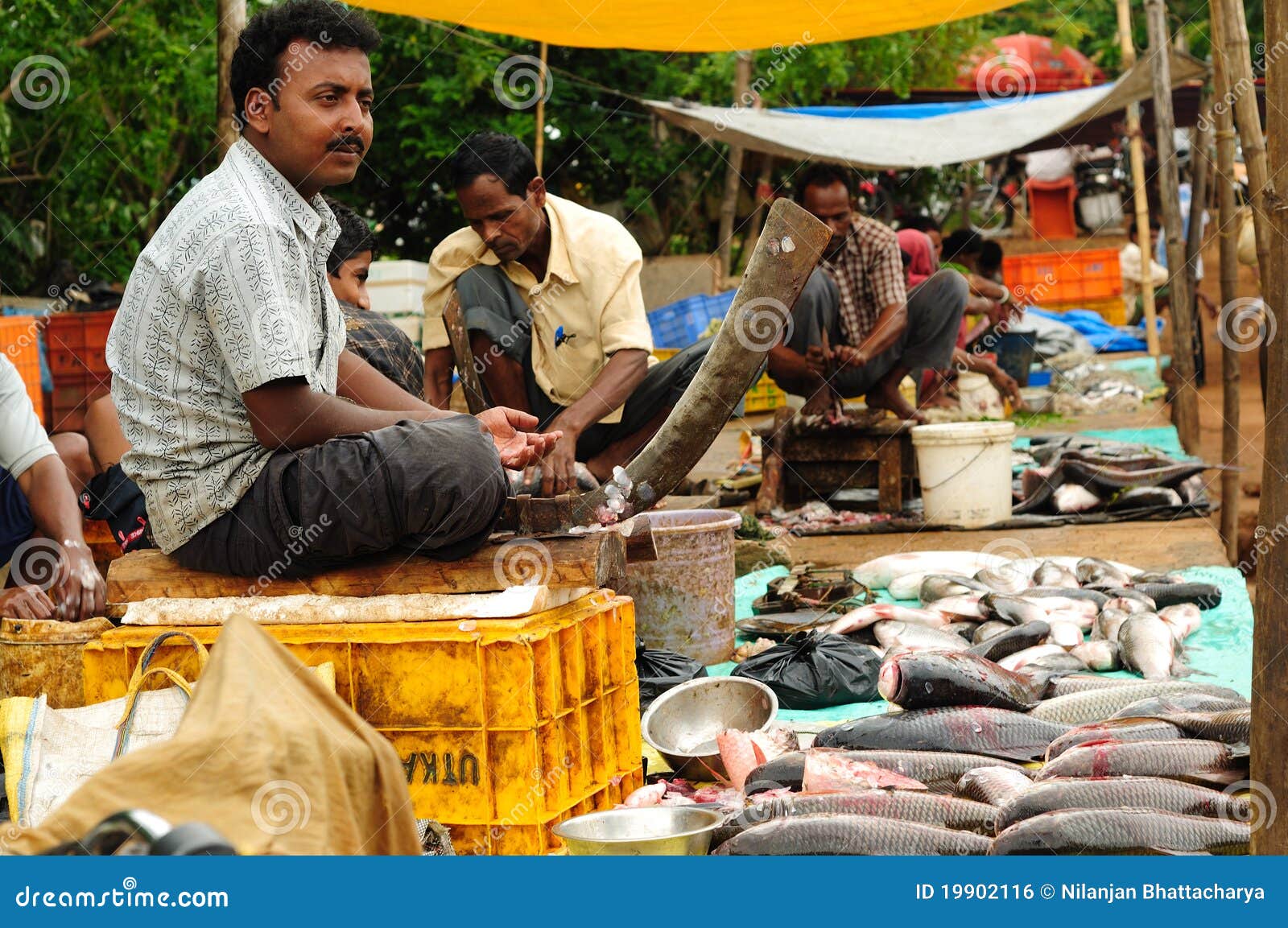 Fish market in India editorial photo. Image of fish, selling - 19902116