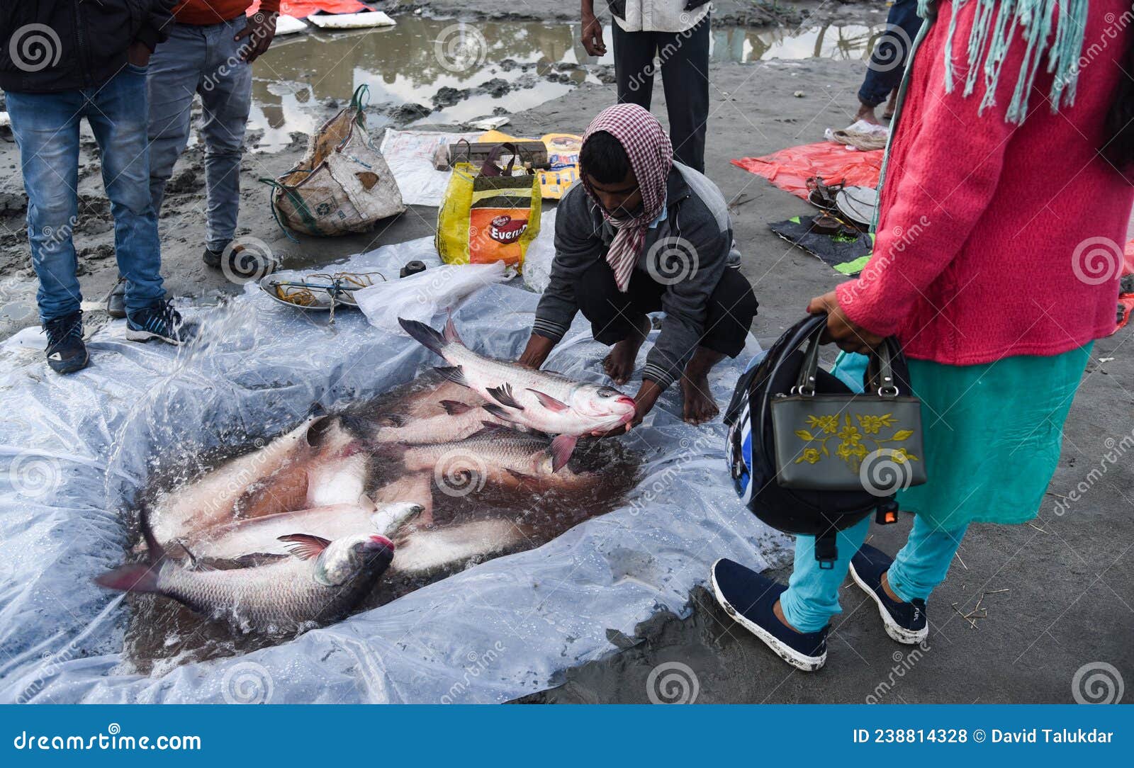 Fish market in India editorial stock photo. Image of business - 238814328