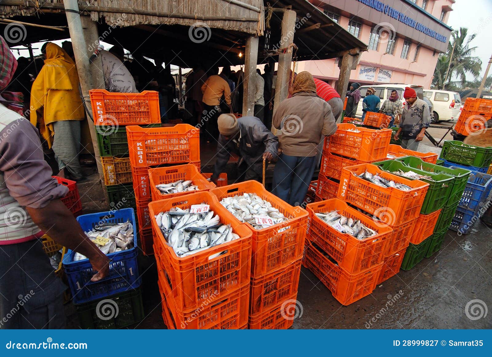 Fish Market in India editorial photography. Image of market - 28999827