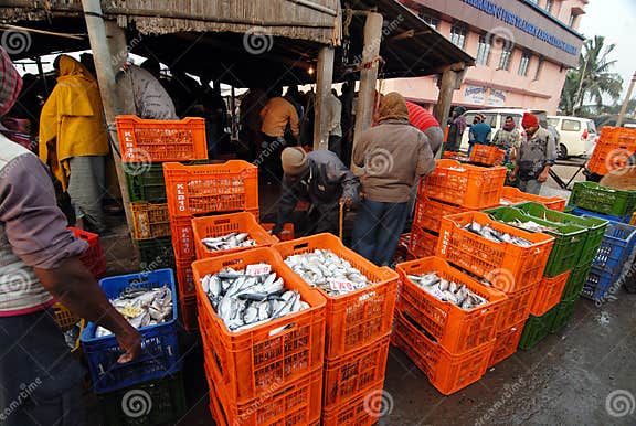 Fish Market in India editorial photography. Image of market - 28999827
