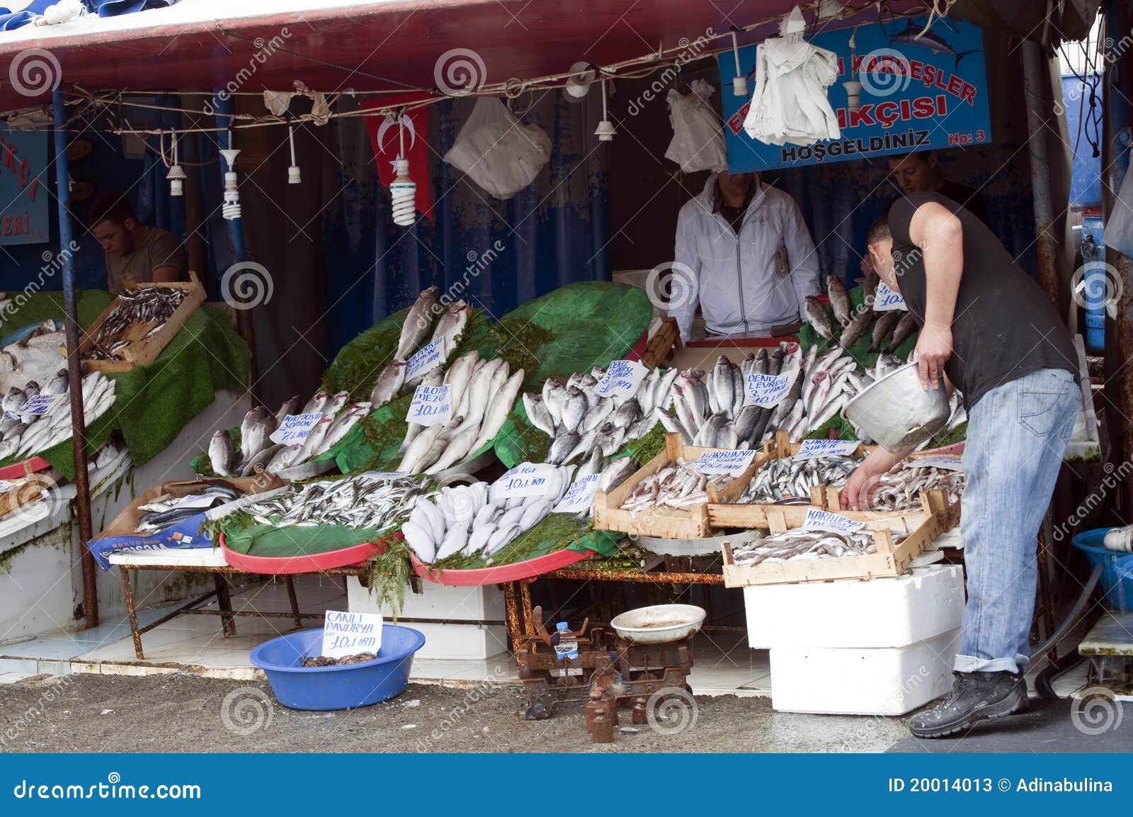 Fish market -Istanbul editorial stock photo. Image of detail - 20014013