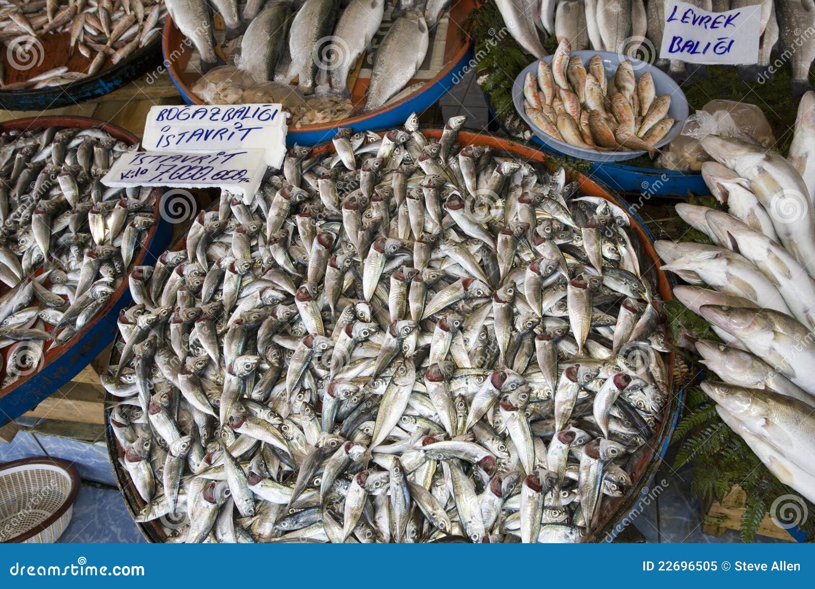 Fish Market - Istanbul - Turkey Stock Image - Image of istanbul, sprats ...