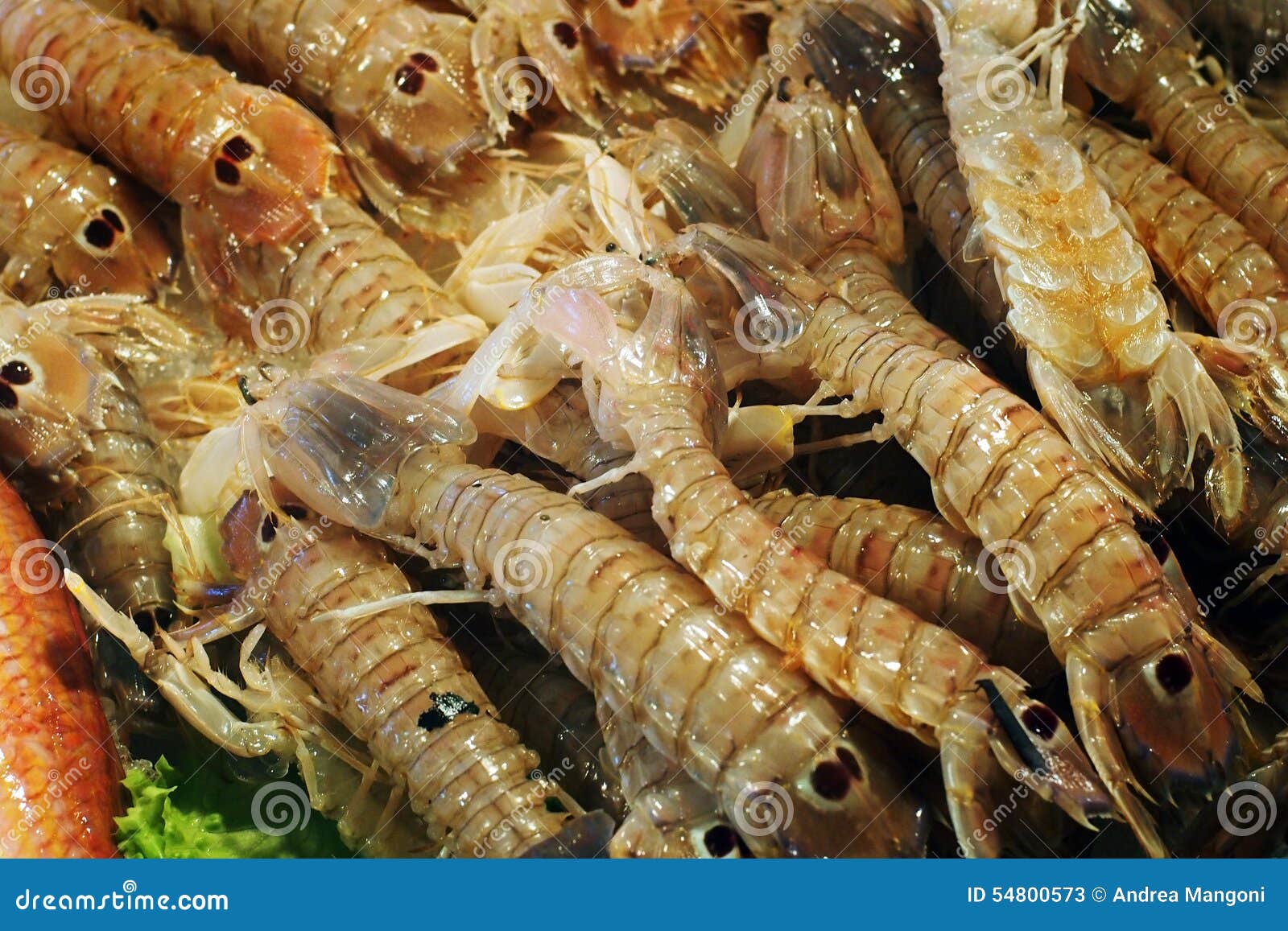Fish Market - Mantis Shrimp (Squilla Mantis) Stock Image - Image of ...