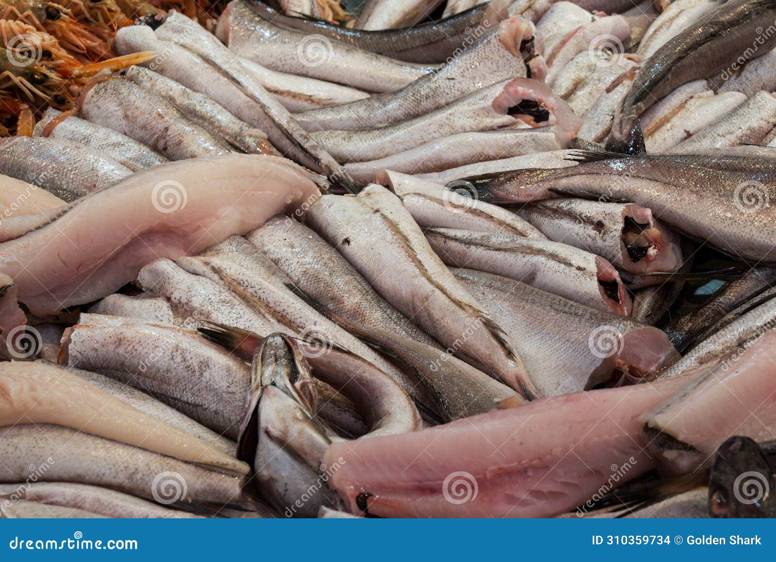 Fish Market with Many Different Fresh Fishes Stock Photo - Image of ...