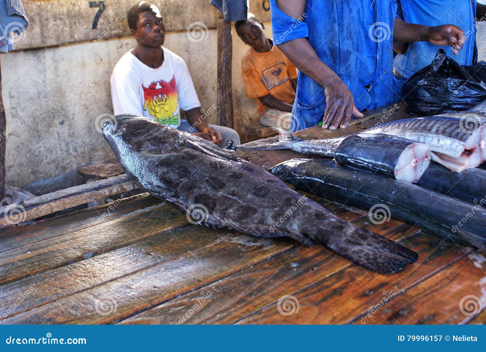 Fish Market editorial photography. Image of indian, fish - 79996157