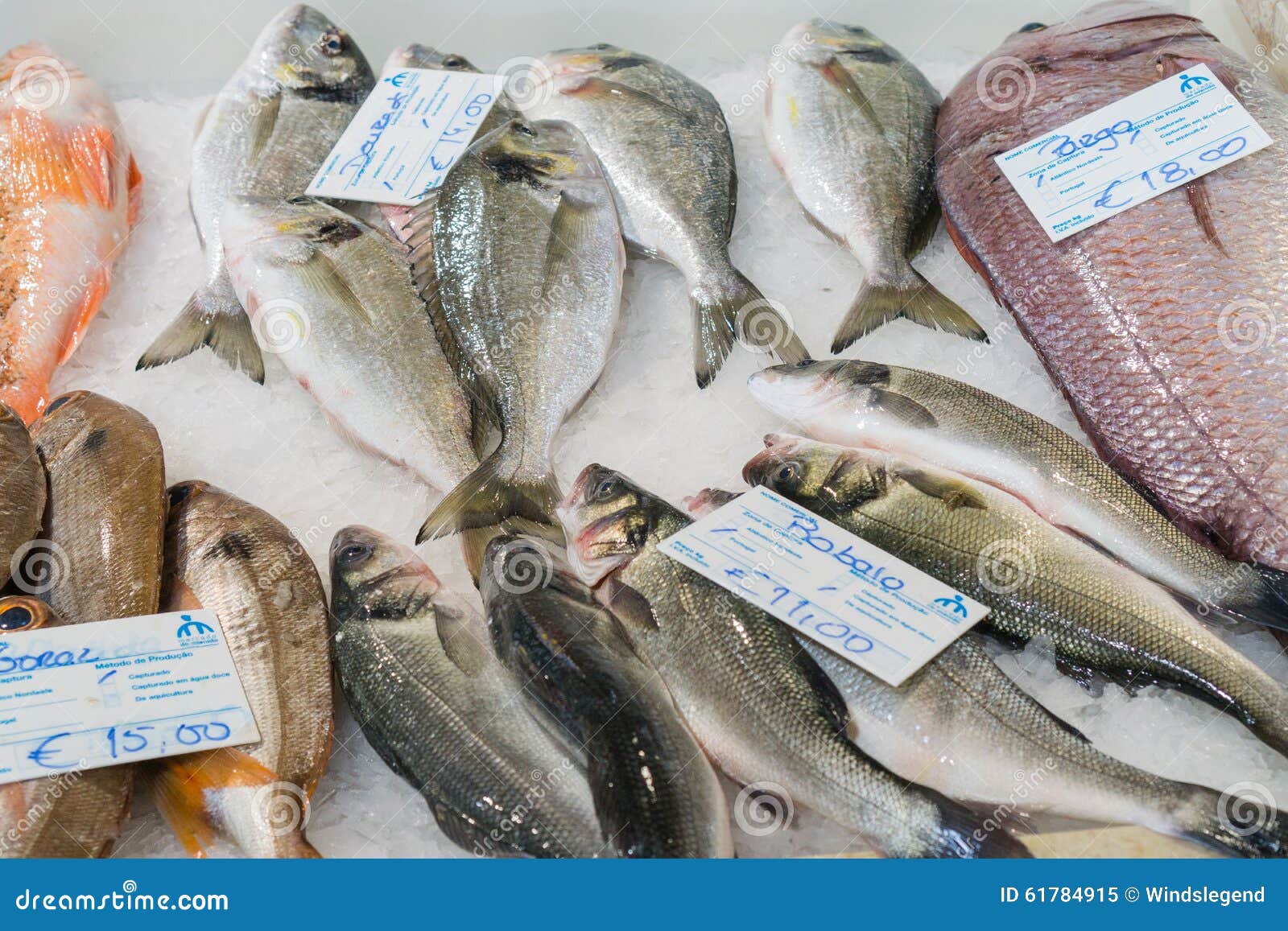 The fish market stock image. Image of diet, nutrition - 61784915