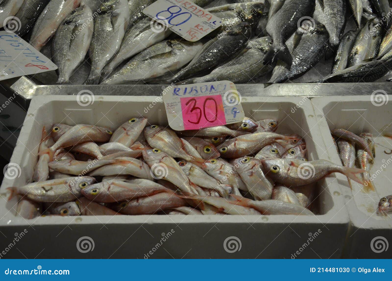 Fish Market in Pula, Fresh Fish Stock Photo - Image of industry ...