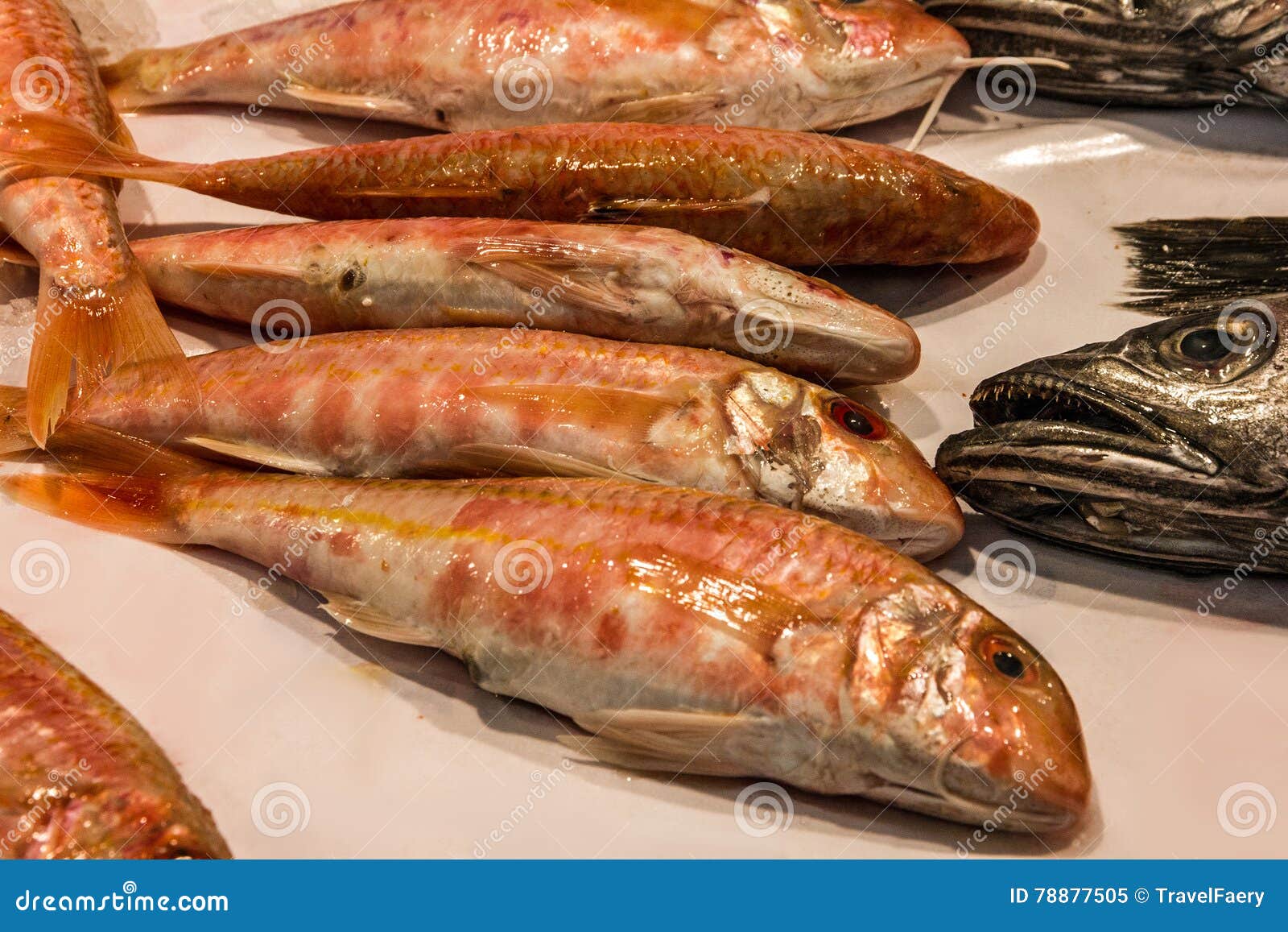 Fish on the Market. Seafood, Spain Stock Image - Image of life, fish ...