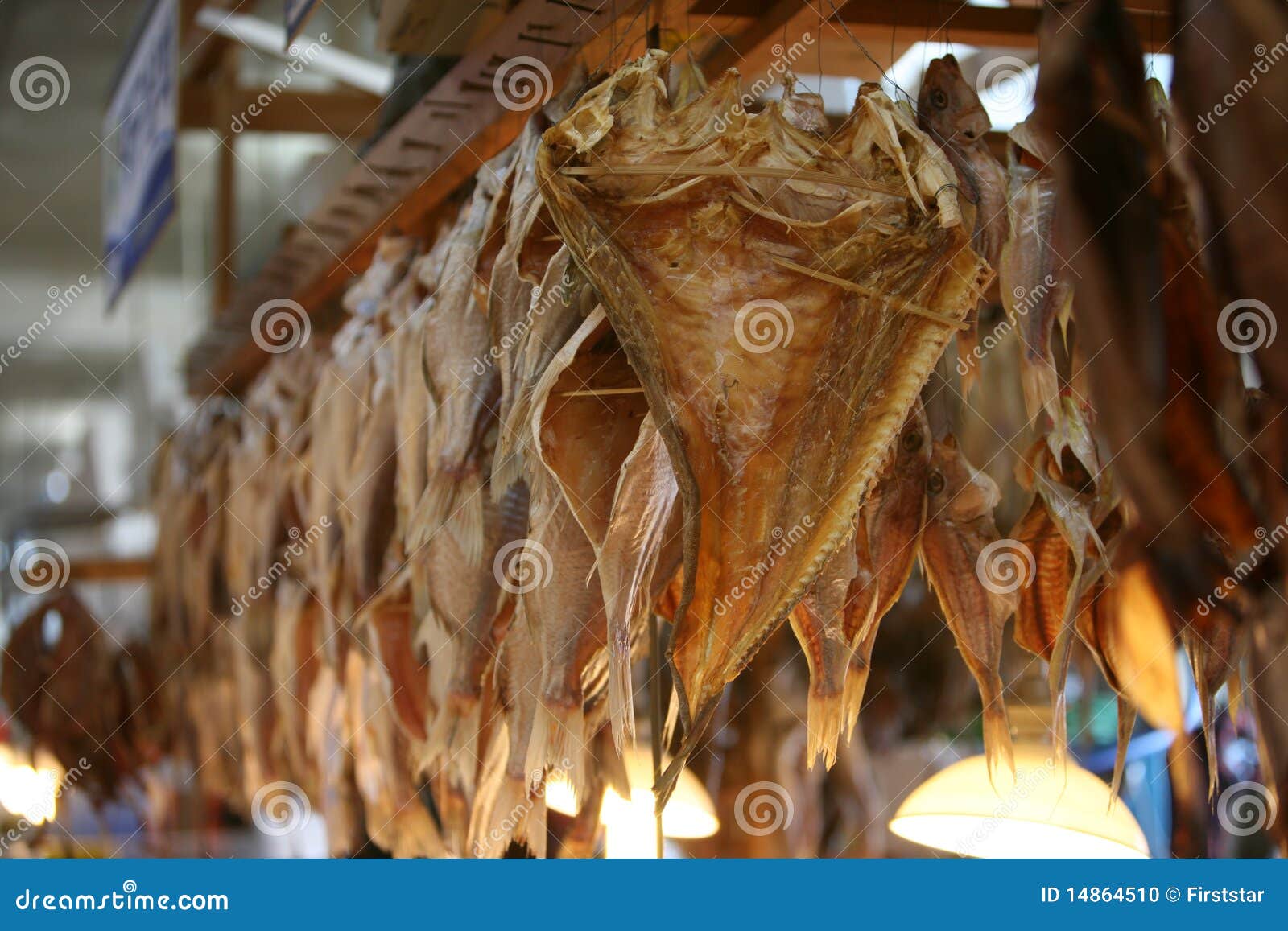 Fish market in South Korea stock photo. Image of ethnicity - 14864510