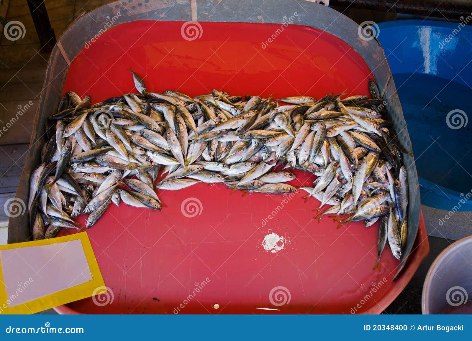 Fish Market Stall stock photo. Image of healthy, shop - 20348400