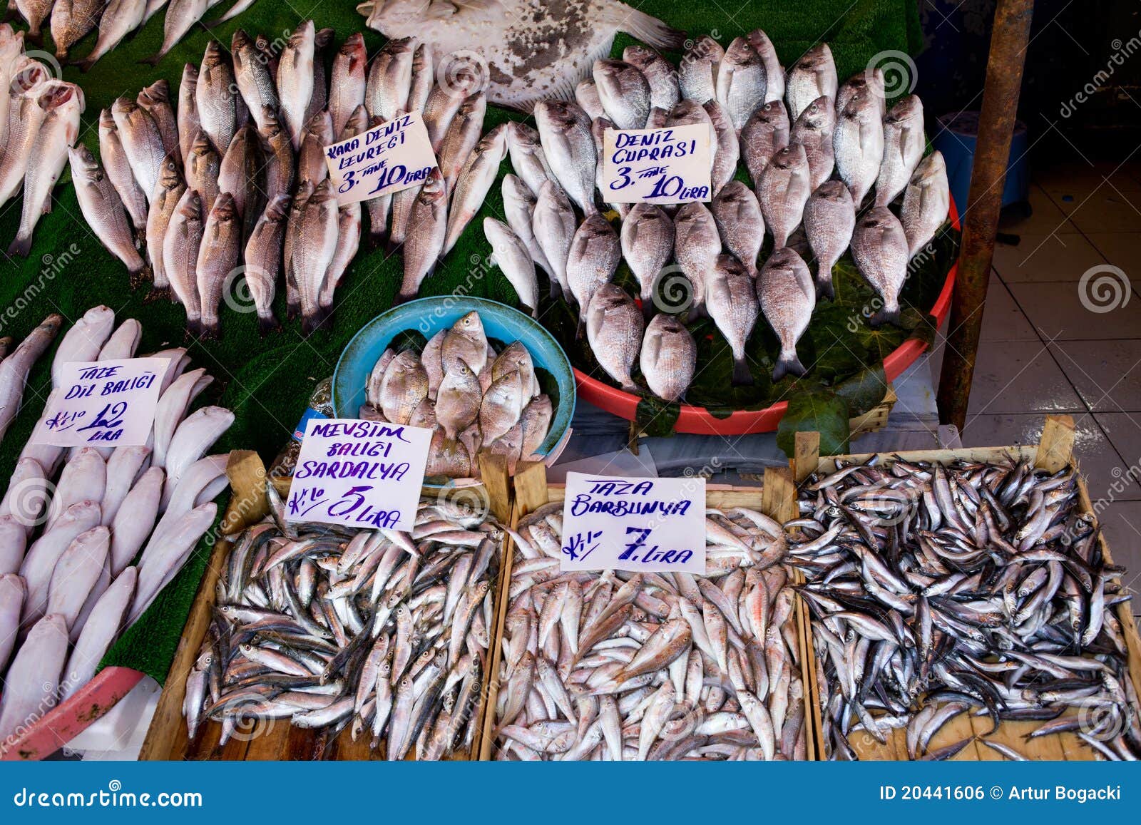 Fish Market Stall stock photo. Image of healthy, perch - 20441606