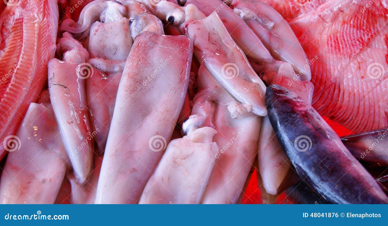 Fish market stock photo. Image of commerce, delicacy - 48041876