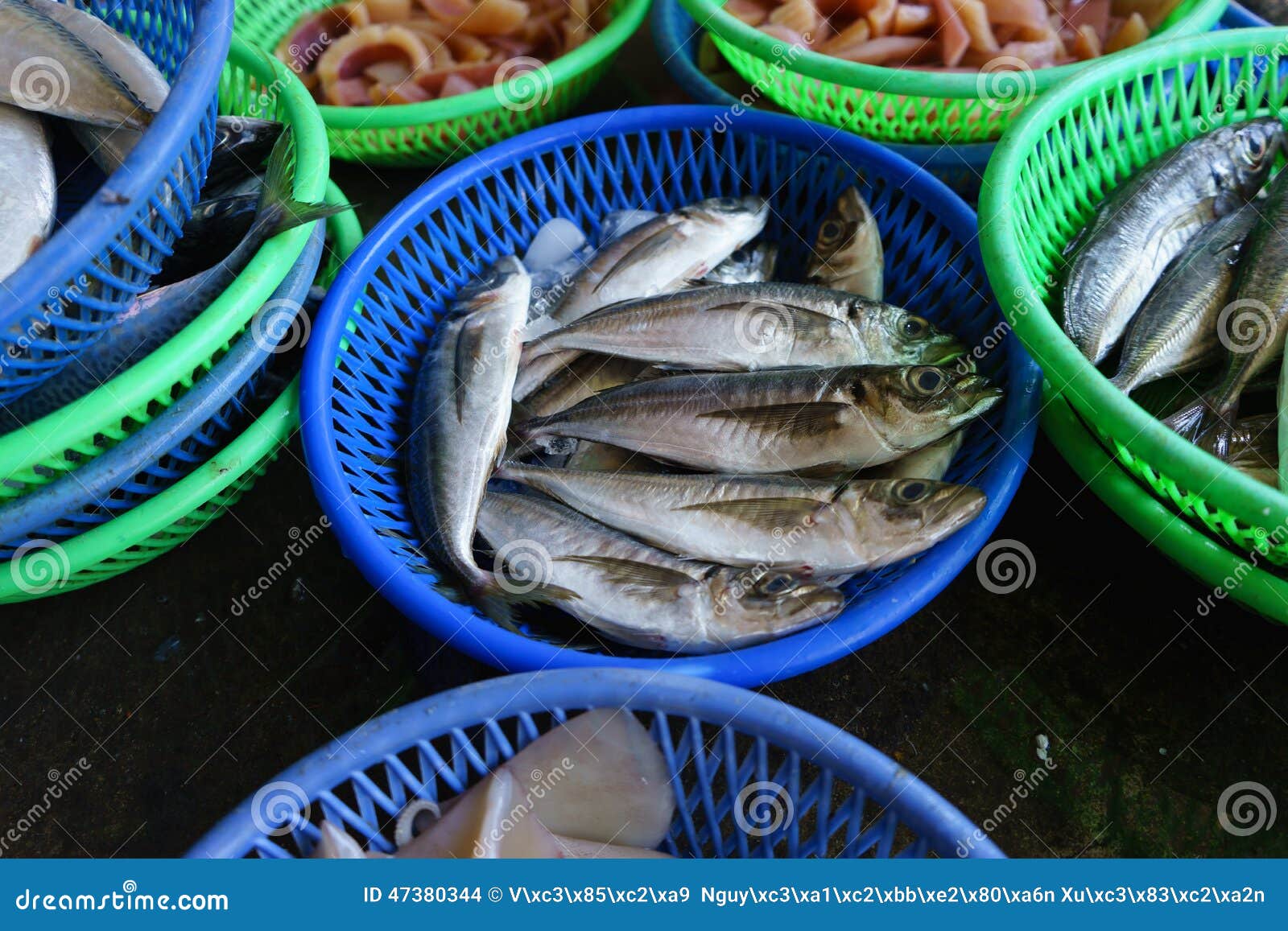 Fish Market at taiwan stock photo. Image of city, footpath - 47380344