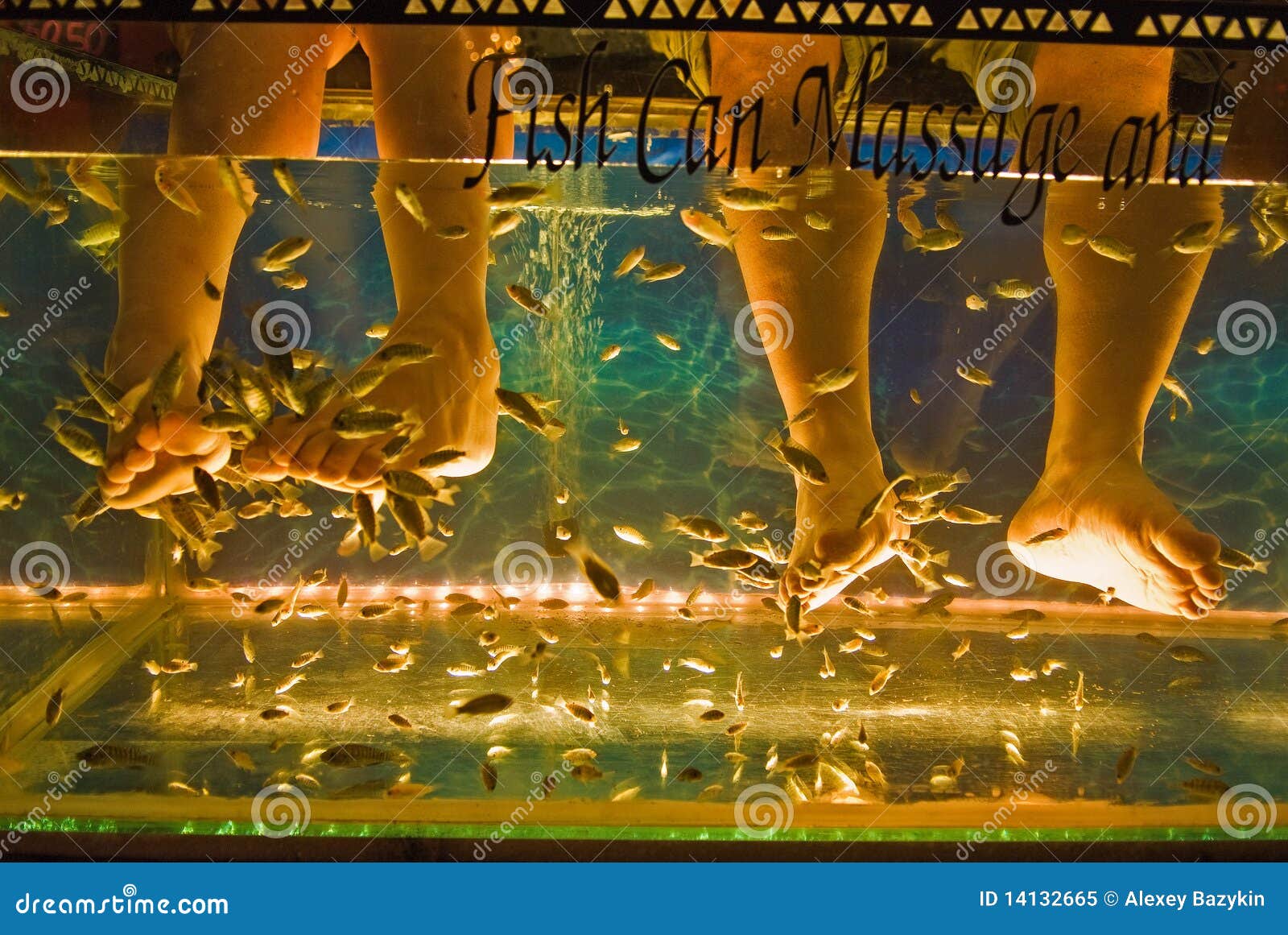 Fish massage aquarium stock image. Image of skin, delicate - 14132665