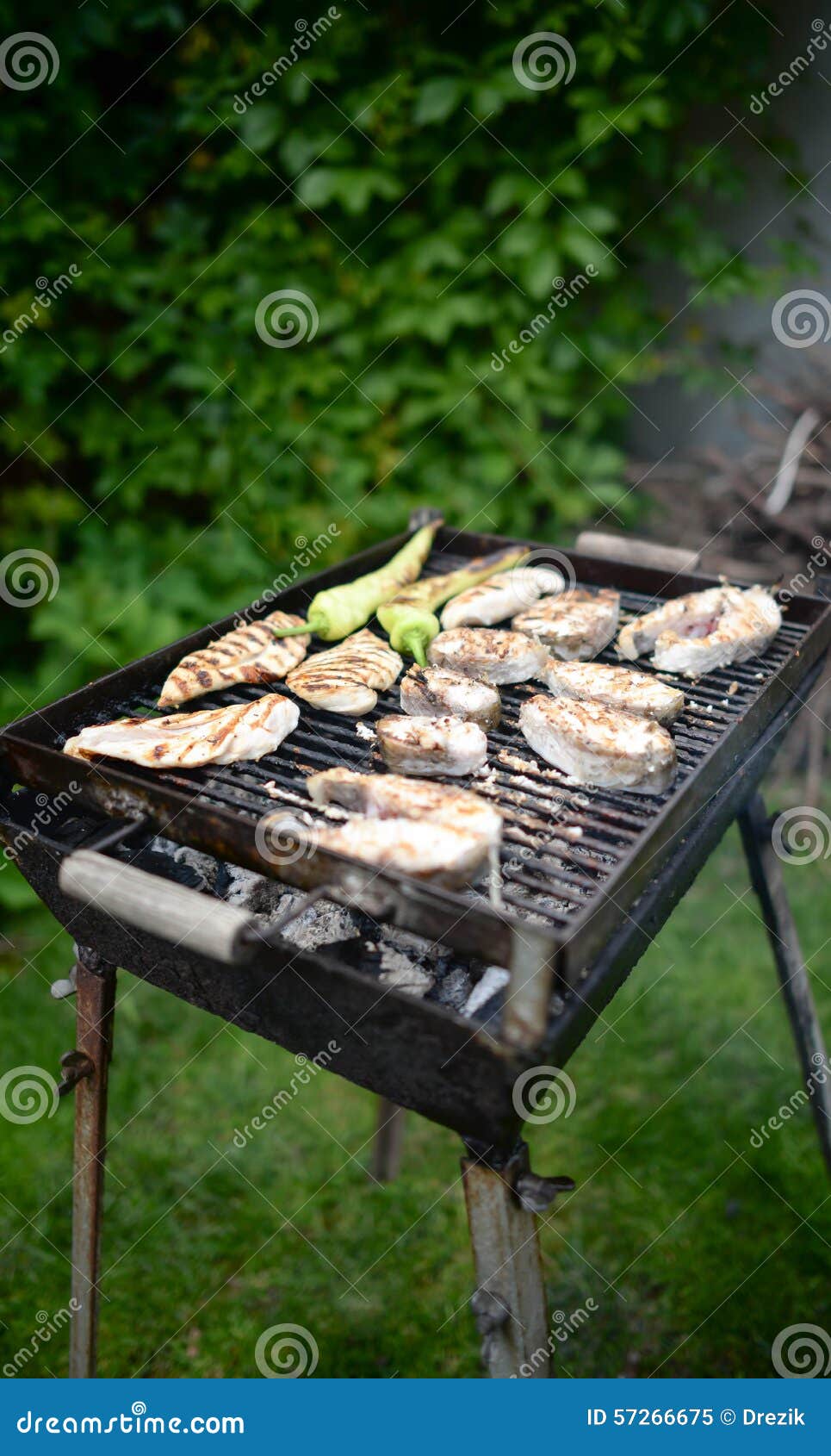 Fish and meat on barbecue stock image. Image of party - 57266675