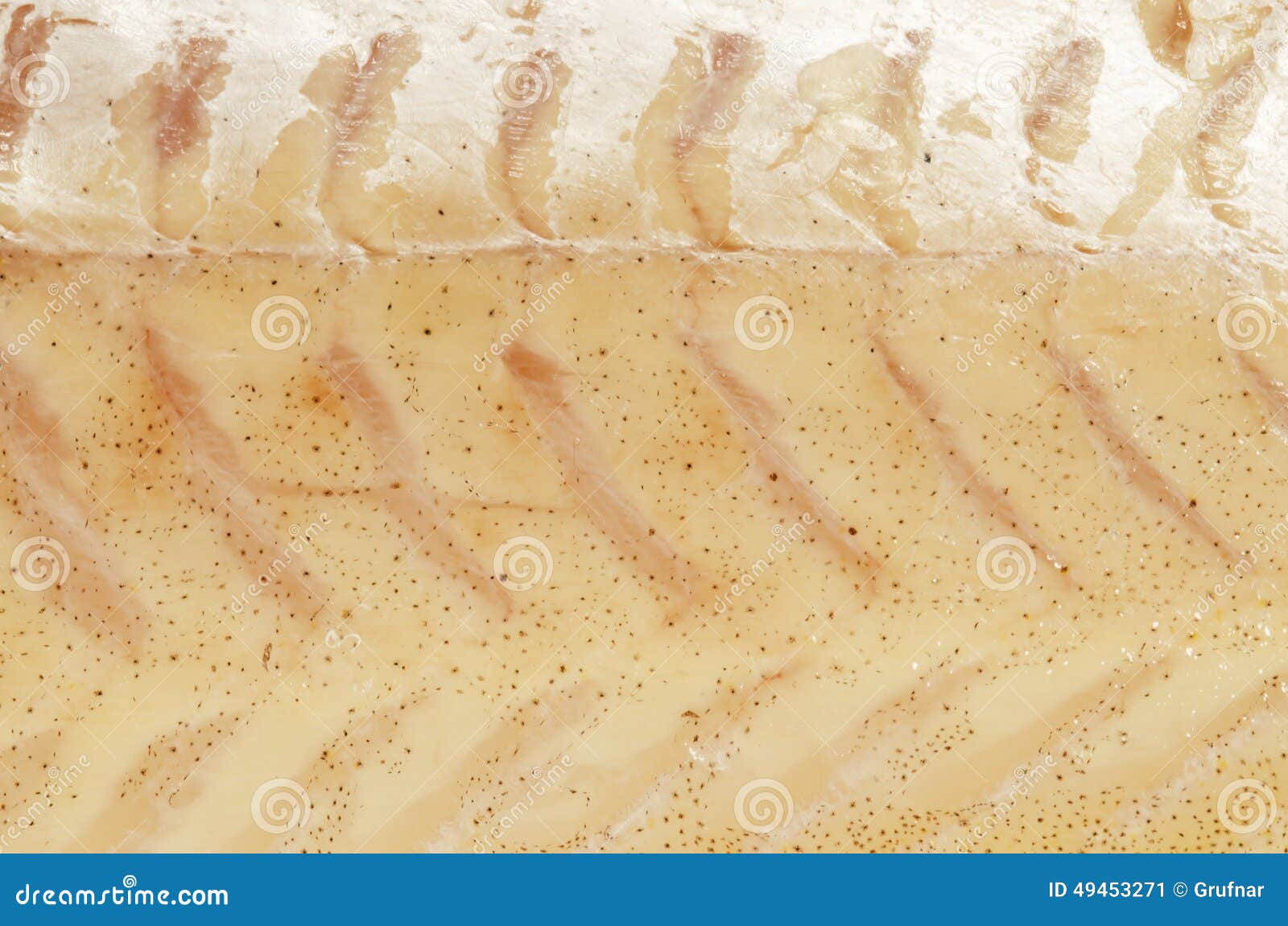 Fish Meat Texture Background Stock Image - Image of slice, white: 49453271