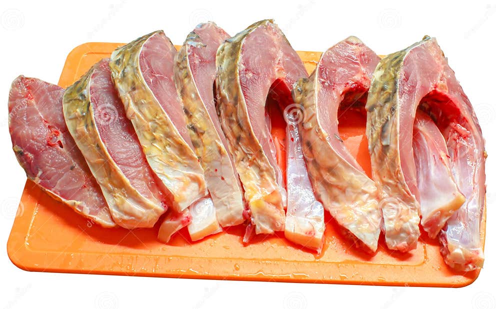 Fish medallions stock photo. Image of tail, fillet, meat - 27111084