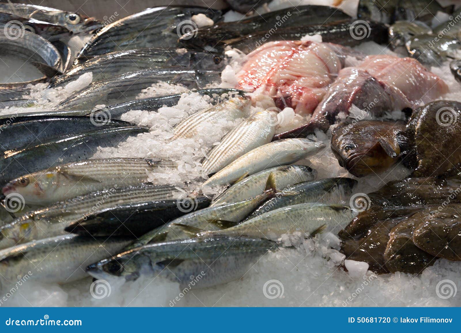 Fish on Mediterranean Market Counter Stock Photo - Image of counter ...
