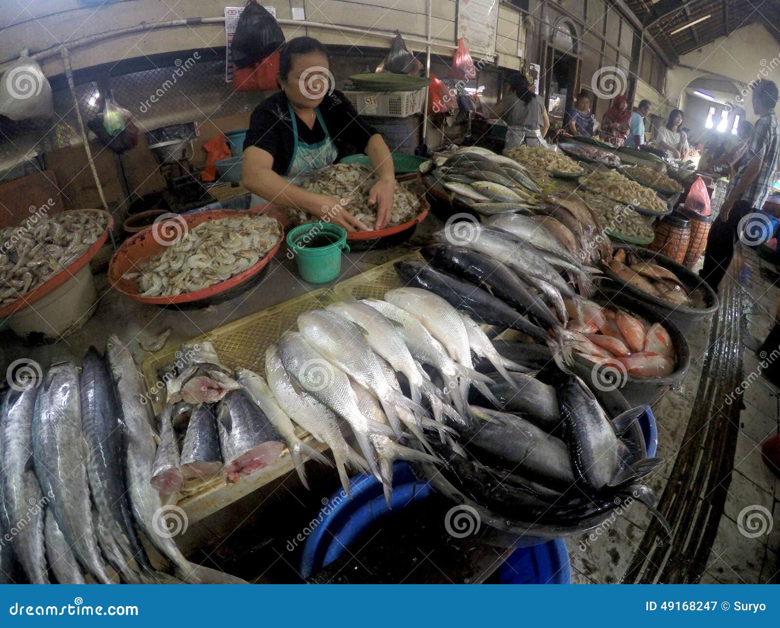 Fish editorial photography. Image of fish, merchants - 49168247