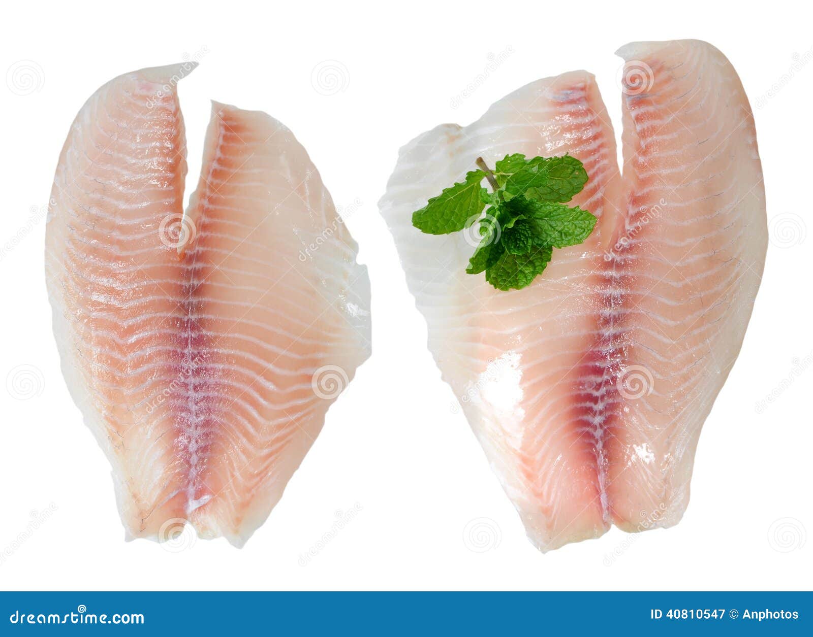 Fish Mint Plant Houttuynia Cordata Royalty-Free Stock Photography ...