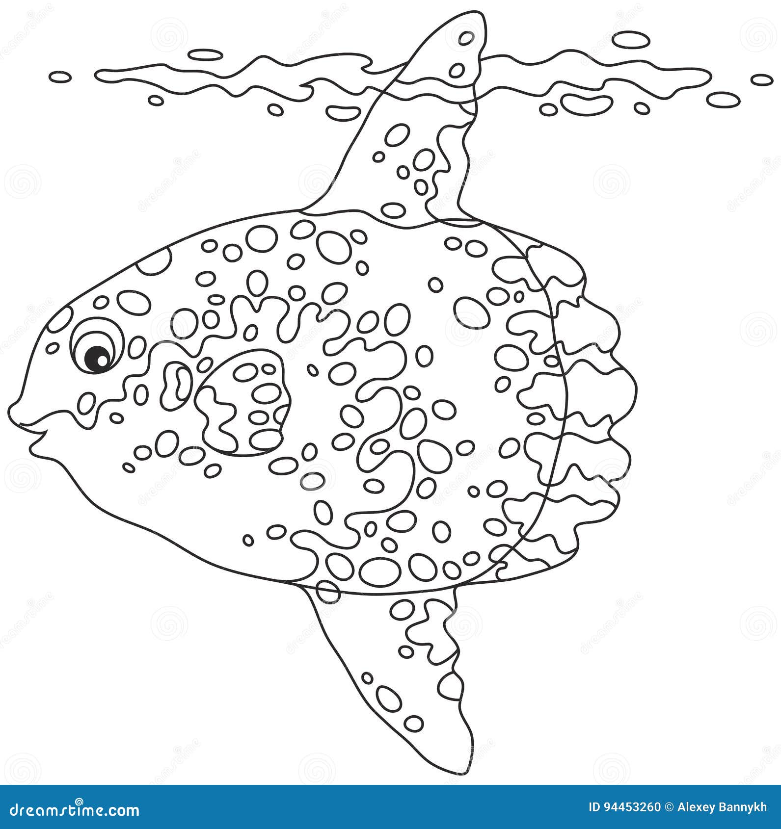 Sunfish Or Moonfish Illustration, Drawing, Engraving, Ink, Line Art ...