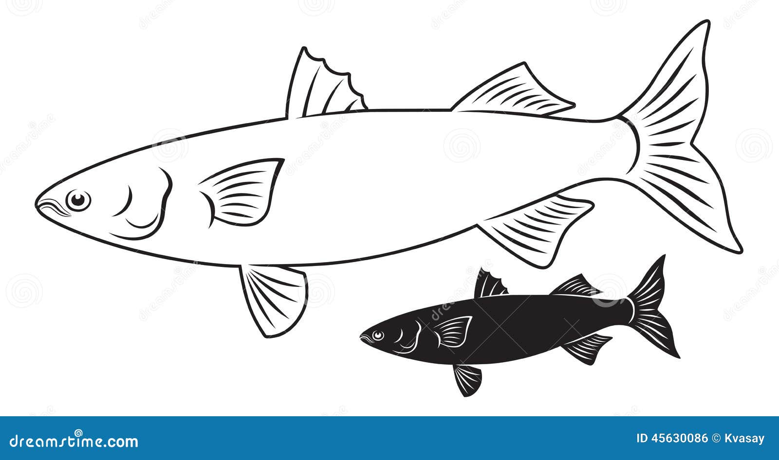 Fish mullet stock vector. Illustration of animal, background - 45630086