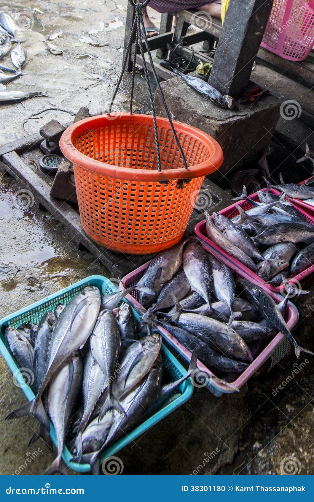 A fish in Myanmar stock photo. Image of morning, market - 38301180