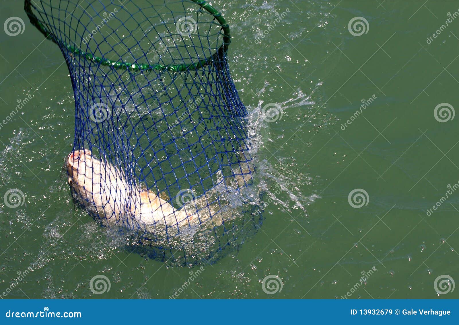 Fish Net stock image. Image of activity, ocean, angler - 13932679
